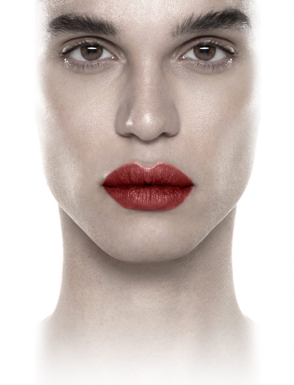 Portraits | john mitropoulos